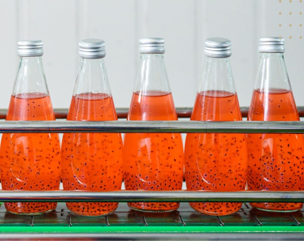 Kombucha & Probiotics: Crafting Healthy Kombucha Drinks | NBC Blog